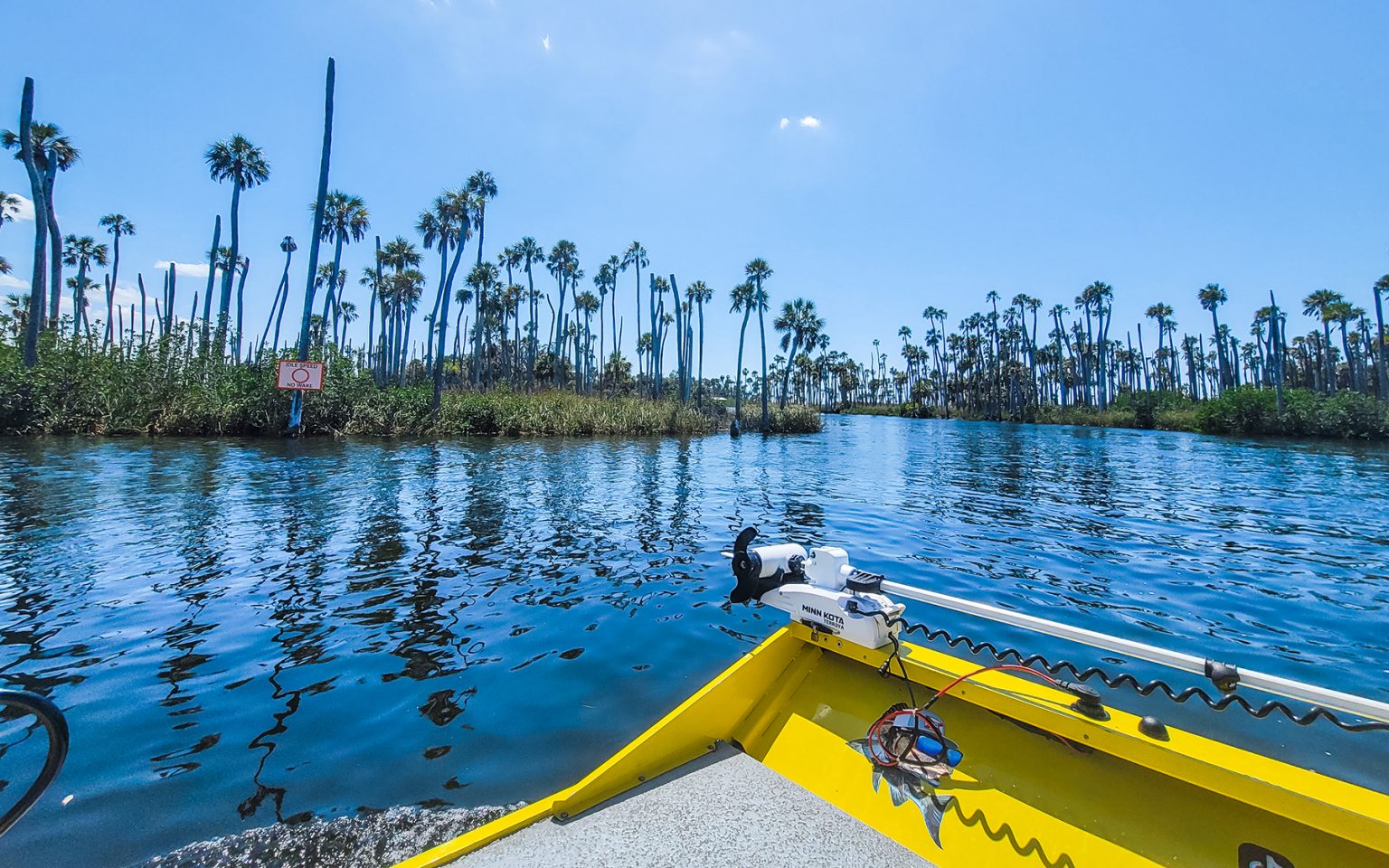 Boat & Fishing Charters in Hernando Beach | #1 Visitor Guide