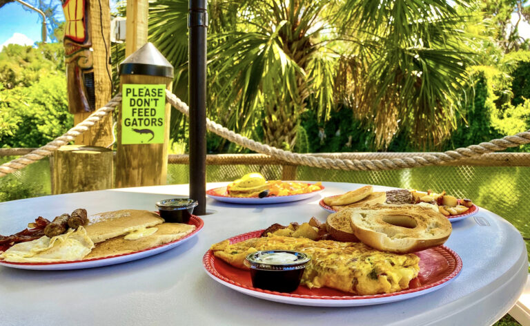 Silver Dolphin Hernando Beach | The Complete Visitor Guide