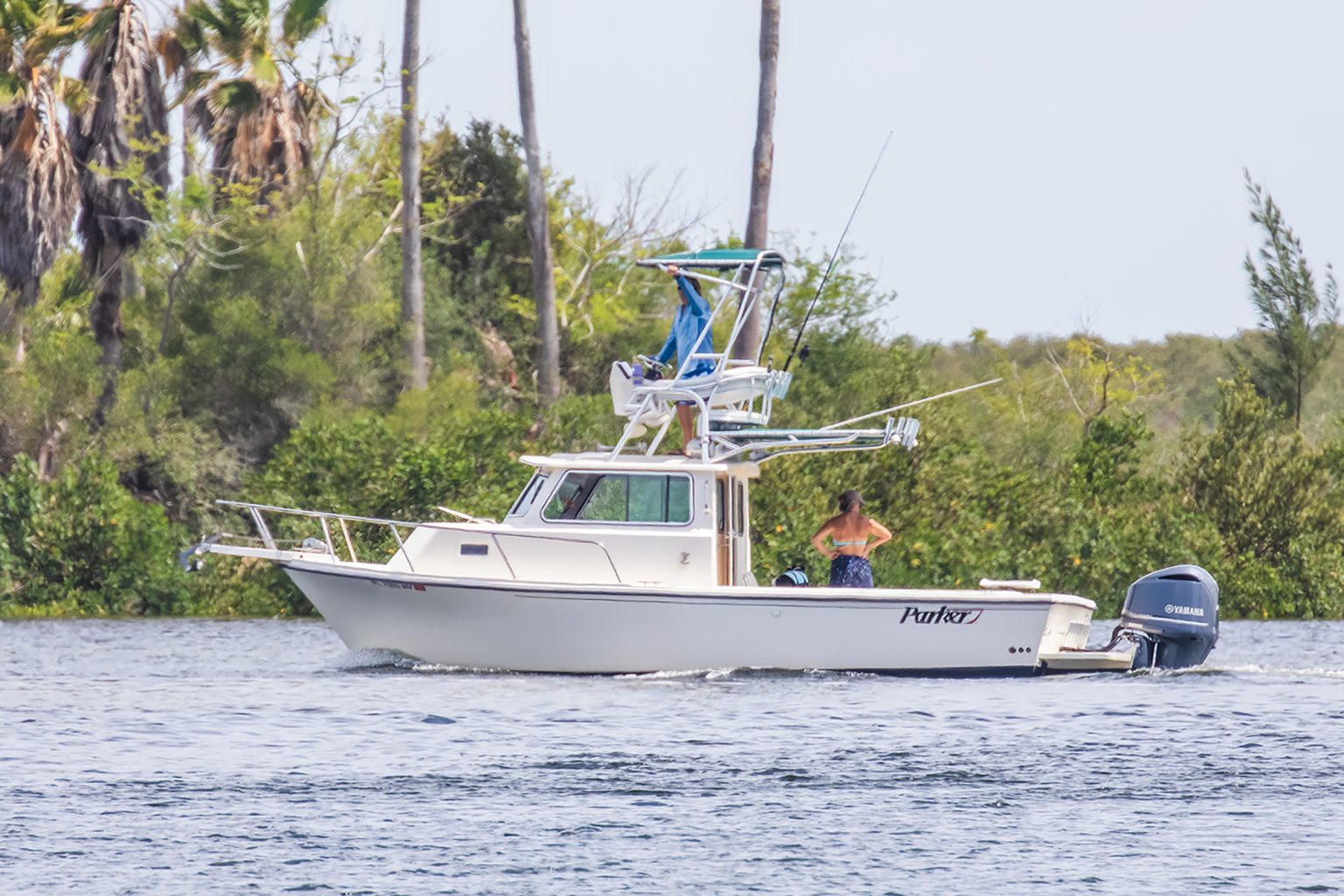 Photo Gallery of Hernando Beach FL | The Complete Visitor Guide