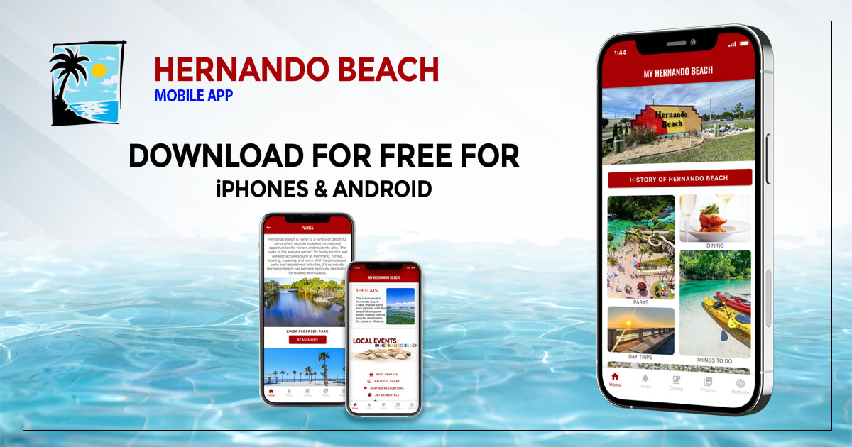 Hernando Beach App | Download for iPhone and Android